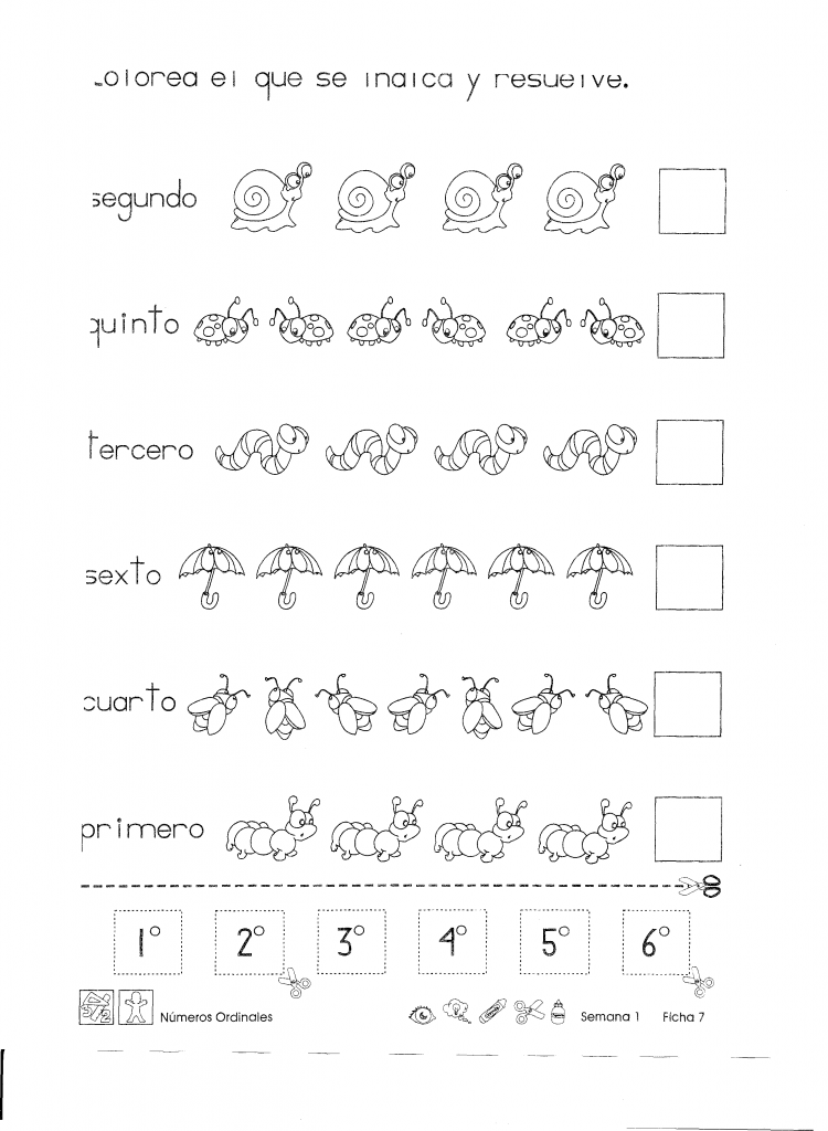 Actividades de matematica primer grado - Imagui