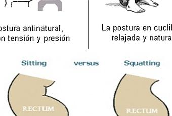 La importancia de defecar correctamente - Paperblog
