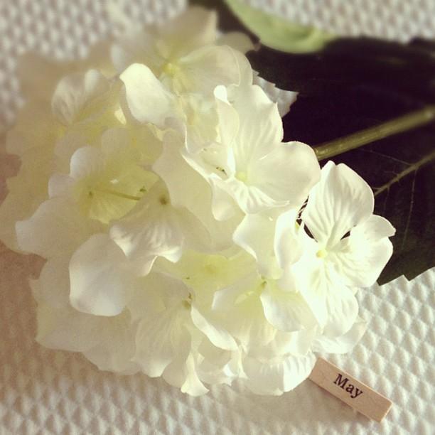bienvenido mayo - welcome May - Paperblog