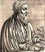 Teofrasto, Dioscorides y la taxonomía - Paperblog