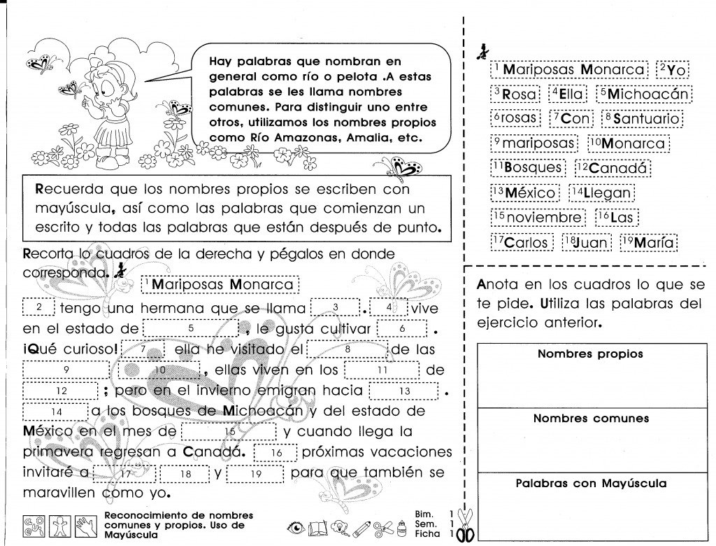 Nombres comunes y propios. Uso de mayúscula “cuarto grado” - Paperblog