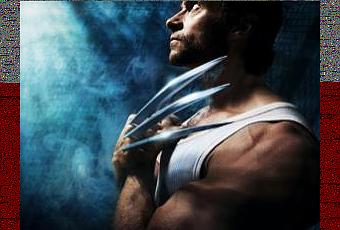 Titanium foam builds Wolverine bones - Paperblog