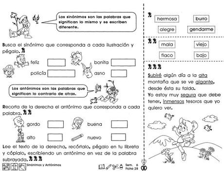 Sinónimos y antónimos 3er Grado - Paperblog