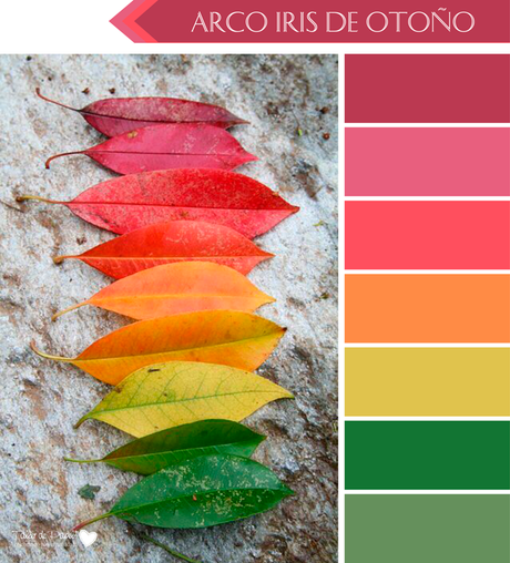 6 Paletas de Color para Otoño, porque el Otoño también tiene un Arco ...