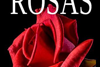 Reseña: Con cuatro rosas - Paperblog