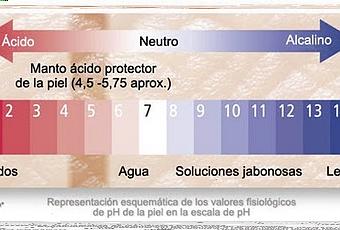 La piel y el pH. - Paperblog