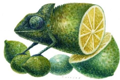 El arte de Turcios - Paperblog