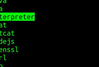 Generación automática de reverse y bind shells con Shellerator - Paperblog