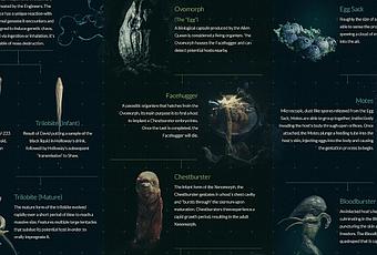 Infografía de Alien (II): Ciclo vital y evoluciones según película ...