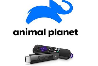 Cómo agregar y activar Animal Planet en Roku [Guide] - Paperblog