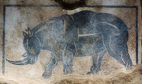 Venatio, animales en la arena en la antigua Roma (I) - Paperblog