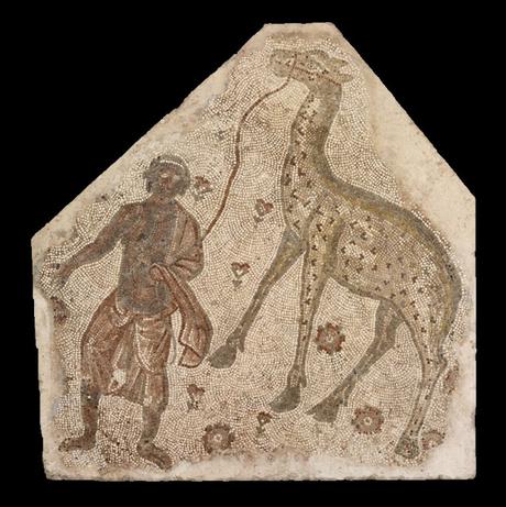 Venatio, animales en la arena en la antigua Roma (I) - Paperblog