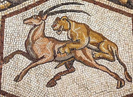 Venatio, animales en la arena en la antigua Roma (I) - Paperblog