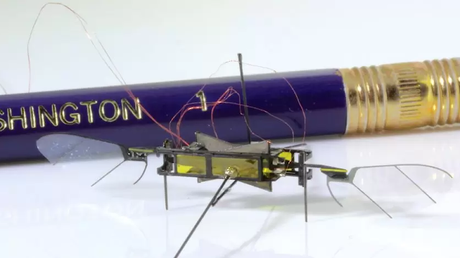 Los bugbots: Microrobots inspirados en insectos para explorar otros planetas - Paperblog