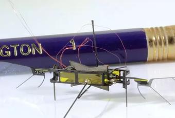 Los bugbots: Microrobots inspirados en insectos para explorar otros planetas - Paperblog
