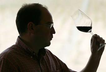 Mosto, Fermentación Alcohólica y el Intrigante Mundo del Color del Vino ...