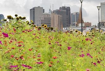 ¿En qué consiste una ciudad esponja? (2) - Paperblog