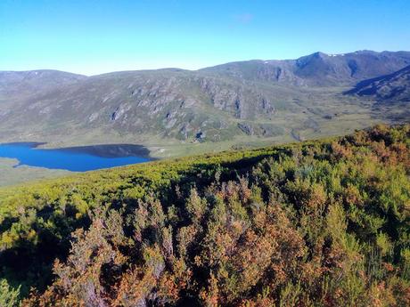 Presa rota - Paperblog