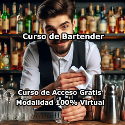 Curso de Bartender Modalidad 100% Virtual de Acceso Gratis - Paperblog
