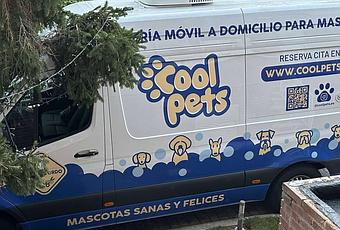Cool Pets, una nueva dimensión en el cuidado e higiene de las mascotas ...