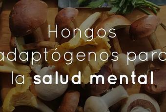 Hongos adaptógenos para la salud mental - Paperblog