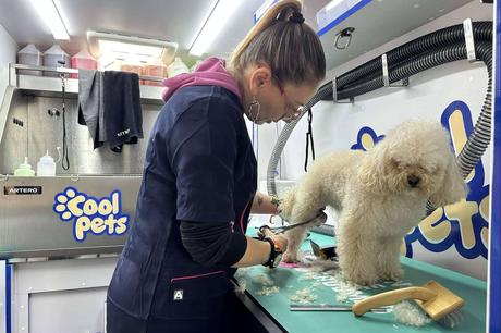 COOL PETS; La solución definitiva para el aseo e higiene de la mascota ...